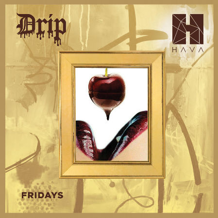 Boston's Newest Lounge & Nightclub - HAVA Boston